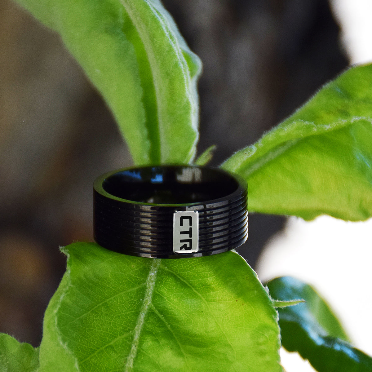 CTR Racing Stripes Ring — LDS Honey